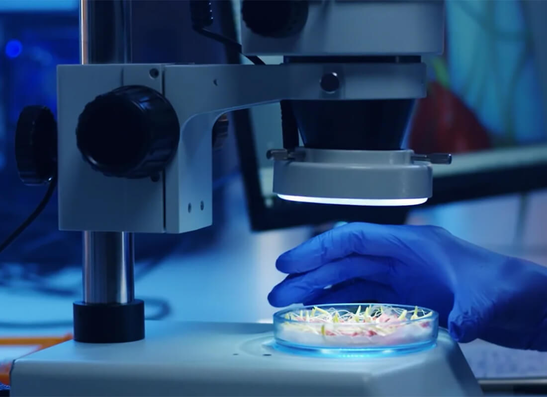 NIIT Life Sciences Accelerate Innovation | NIIT