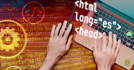 Full Stack Python Developer Courses: Overview – NIIT India